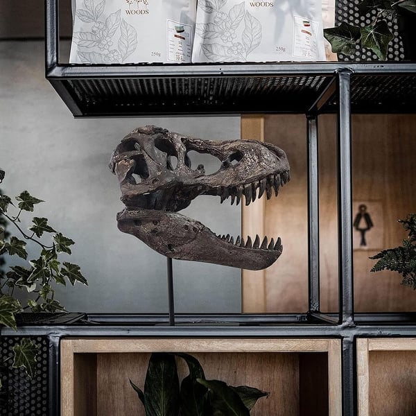 dinosaur fossil skull