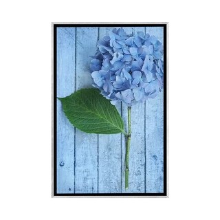 iCanvas "Powder Blue Hydrangea" by Alyson Fennell Framed - Bed Bath ...