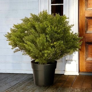 National Tree Company 28-Inch Artificial Globe Juniper Tree - 28 in ...