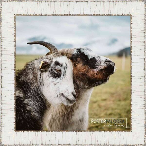 28x28 White Rustic Birch Wood Picture Square Frame - Picture Frame ...