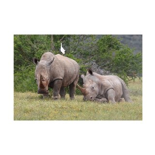 Bob Langrish 'White Rhinoceros 3' Canvas Art - Bed Bath & Beyond - 39537440