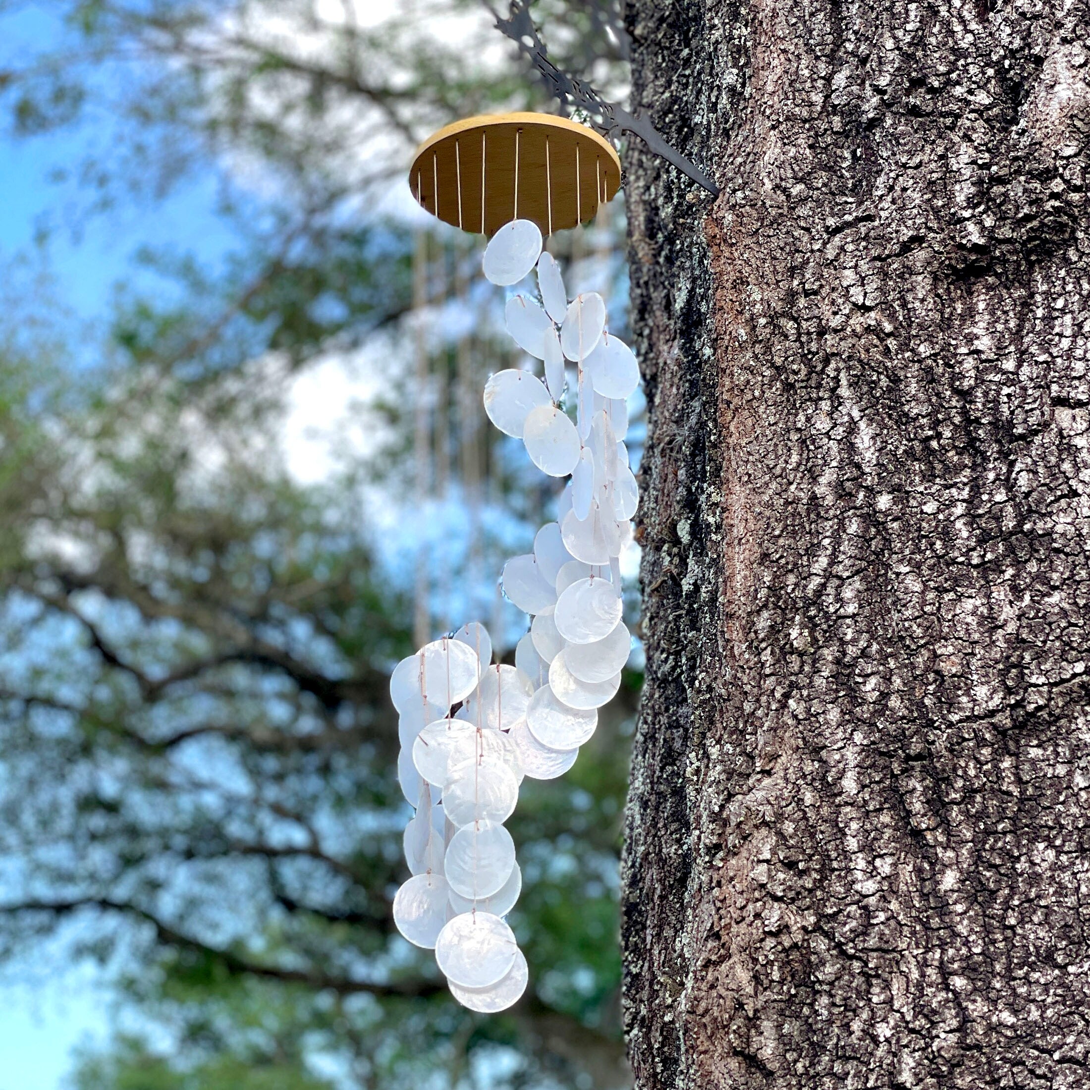 handmade seashell wind chimes