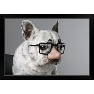 "French bulldog wearing a Groucho Marx disguise" Black Framed Print ...