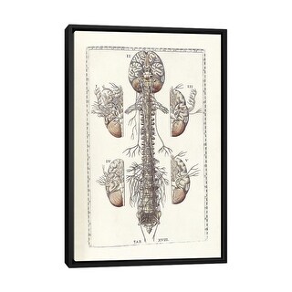 iCanvas "The Science Of Human Anatomy III" by National Library of ...