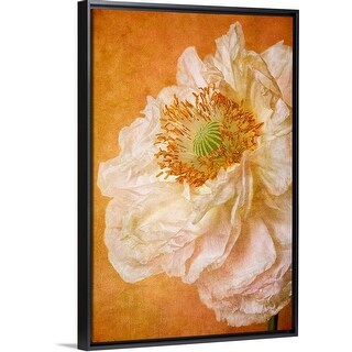 "Close up of white, double petaled poppy." Black Float Frame Canvas Art ...