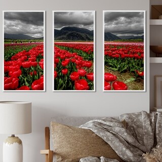 Designart "Rows of Bright Ruby Red Tulips" Landscape Framed Wall Decor ...