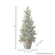 24-inch Potted Frosted Mini Spruce Trees (Set of 2) - On Sale - Bed ...