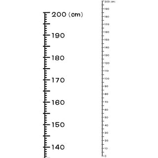 Height Chart Ruler 200cm Metric System PVC with Transfer Film Black ...
