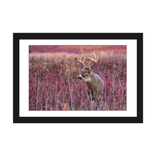 iCanvas "Fall Buck Deer" by Eric Fisher PFA - Bed Bath & Beyond - 37269242