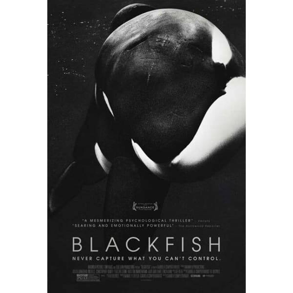 blackfish poster