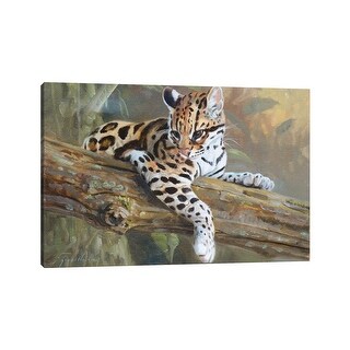 iCanvas "Ocelot" by Grant Hacking Canvas Print - Bed Bath & Beyond ...