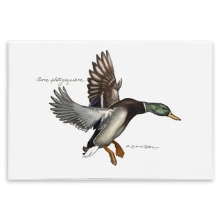 Stupell Flying Mallard Duck Wall Plaque Art Design By Jadei Graphics ...