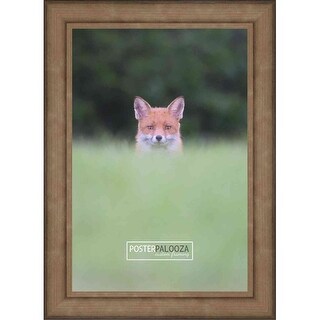 20x40 Traditional Pewter Complete Wood Panoramic Frame with UV Acrylic ...