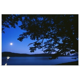"Moon Over Water" Poster Print - Bed Bath & Beyond - 16884179
