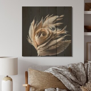 Designart 'Pink Feather Rose On Black II' Floral Rose Wood Wall Art ...