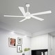WINGBO 64 Inch DC Ceiling Fan with Lights and Remote Control, 5 ...