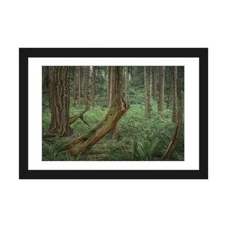 iCanvas "Slanted Trees" by Louis Ruth PFA - Bed Bath & Beyond - 37272341