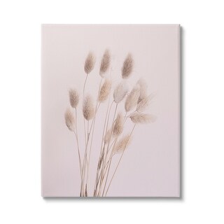 Stupell Soft Pink Reed Sprigs Canvas Wall Art Design by Sisi and Seb ...