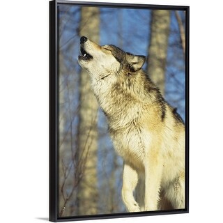 "Wolf howling, Canada" Black Float Frame Canvas Art - Bed Bath & Beyond ...