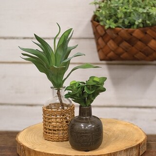 Small Brown Narrow Neck Porcelain Jar - Bed Bath & Beyond - 40270810