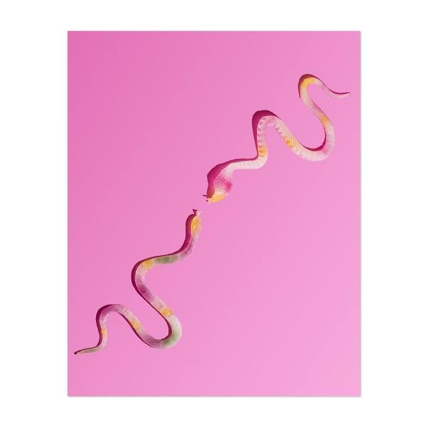 Snakes Saluting Photography Animals Humor Art Print/Poster - Bed Bath ...