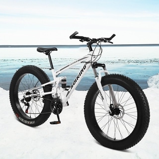 High Carbon Steel Frame Fat Tire Mountain Bike,26 Inch 21 Speed - Bed ...
