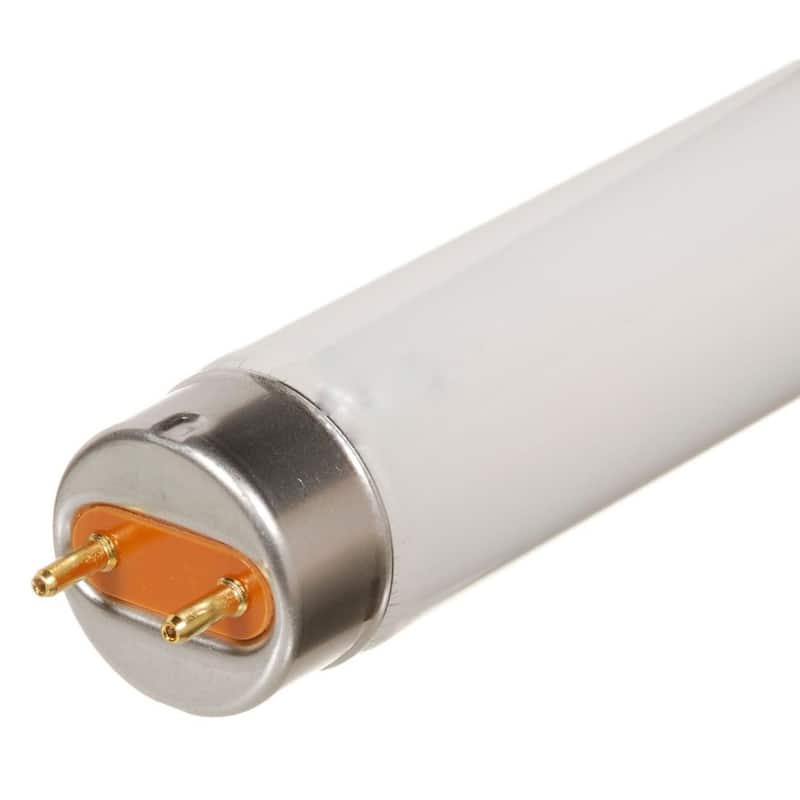 48 in. Cool White Cylindrical F32T8 Tube 32W American Imaginations ...