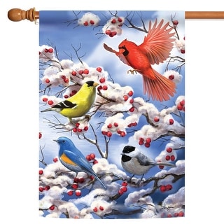 Red and Blue Finch with Cardinal Christmas Outdoor House Flag 40" x 28 ...