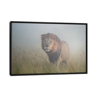 iCanvas "King In The Mist" by Frits Hoogendijk Framed Canvas Print ...