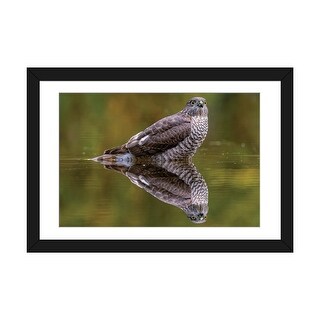 iCanvas "Reflect Sparrow Hawk" by Robin Scholte PFA - Bed Bath & Beyond ...