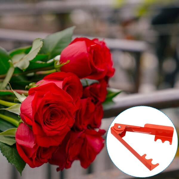 2Pcs Rose Leaf Thorn Stripper Rose Stripper Removal Tree Pruner Hand ...