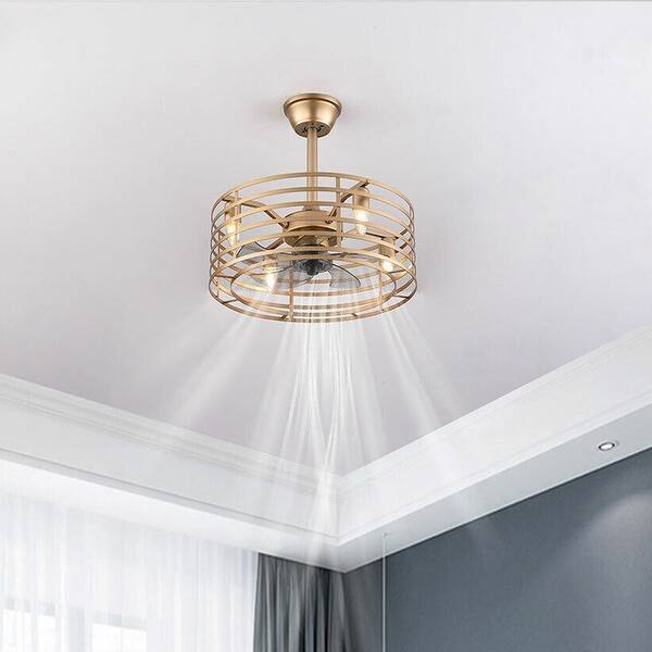 20" Matte Gold Modern Caged Ceiling Fan With Light Invisible Blades ...