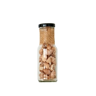 Shells in 6" Glass Bottle, Set of 2 - 6 - Bed Bath & Beyond - 38443987