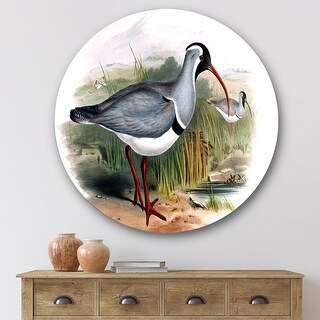 Designart 'Vinage Countryside Animals VI' Farmhouse Metal Circle Wall ...