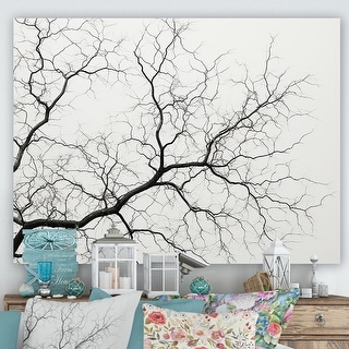 Designart "Monocrhome Sycamore Tree Solitude" Tree Sycamore Wall Art ...