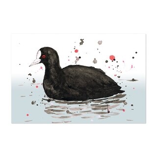 Common Coot Illustrations Animals Birds Nature Art Print/Poster - Bed ...