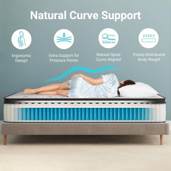 Curve 12 inch plush memory foam mattress store