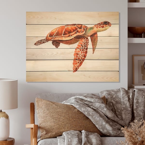 turtle wall decor