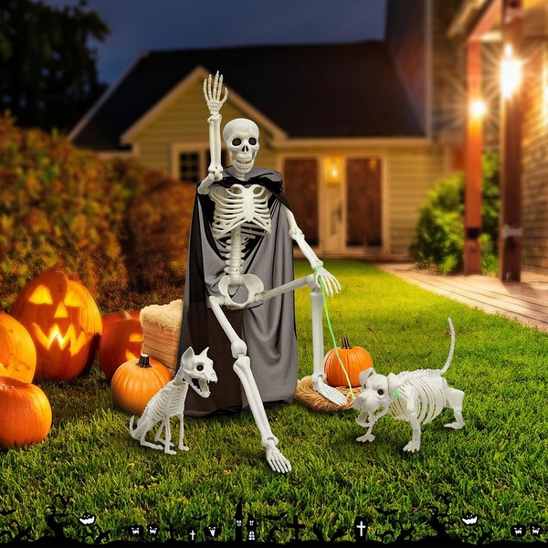 Terra Feed Me Inc 36 Skeleton Halloween Decor Posable Skeleton with Dog Cat Skeleton White