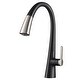 Nolen Spot Free Finish Dual Function Pull-Down Kitchen Faucet ...