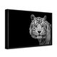 'Bengal White Tiger' Framed Print Wall Art by Nauzet Baez - Bed Bath ...