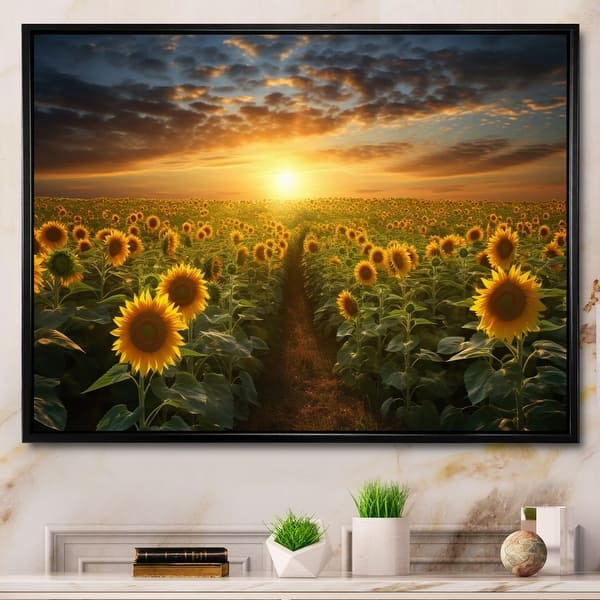 sunflower framing