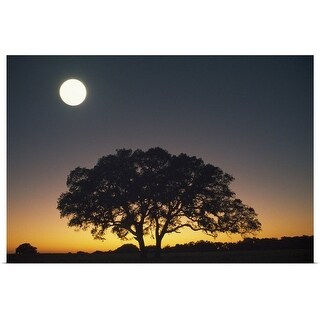 "Full Moon Over Silhouetted Tree" Poster Print - Bed Bath & Beyond ...
