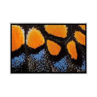 iCanvas "Butterfly Wing Macro-Photography I" by Darrell Gulin Framed ...