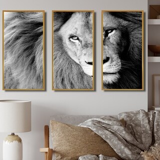 Designart "Lion Head in Grey" Animal Framed Wall Art Set of 3 - 4 ...