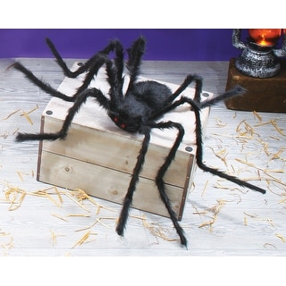 Fun World 9898K Halloween Hairy Spider with Posable Legs, Black, 50 ...