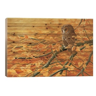 Golden Light Tawny Owl Print On Wood by Jeremy Paul - Multi-Color - Bed ...