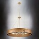 Luxury Modern Rustic Chandelier, 26H x 32W, with Eclectic Style, Soft ...