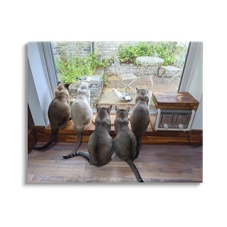 Stupell Cats Watching Bird at Window Canvas Wall Art Design by Beth ...