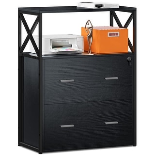 Lateral File Cabinet with 2 Wood Drawers, Office Printer Stand with ...